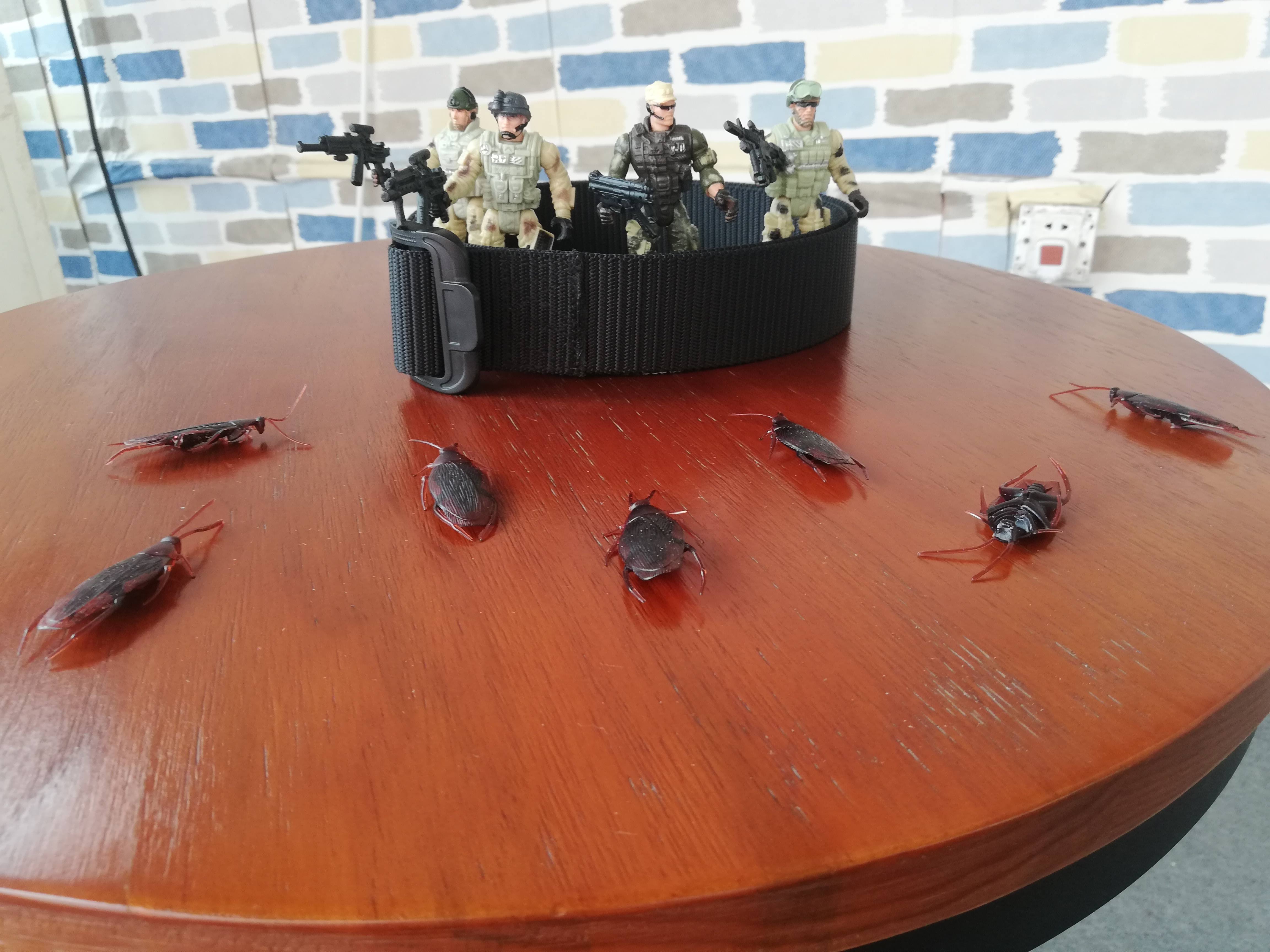 Losing War on Cockroaches– AET TACTICAL